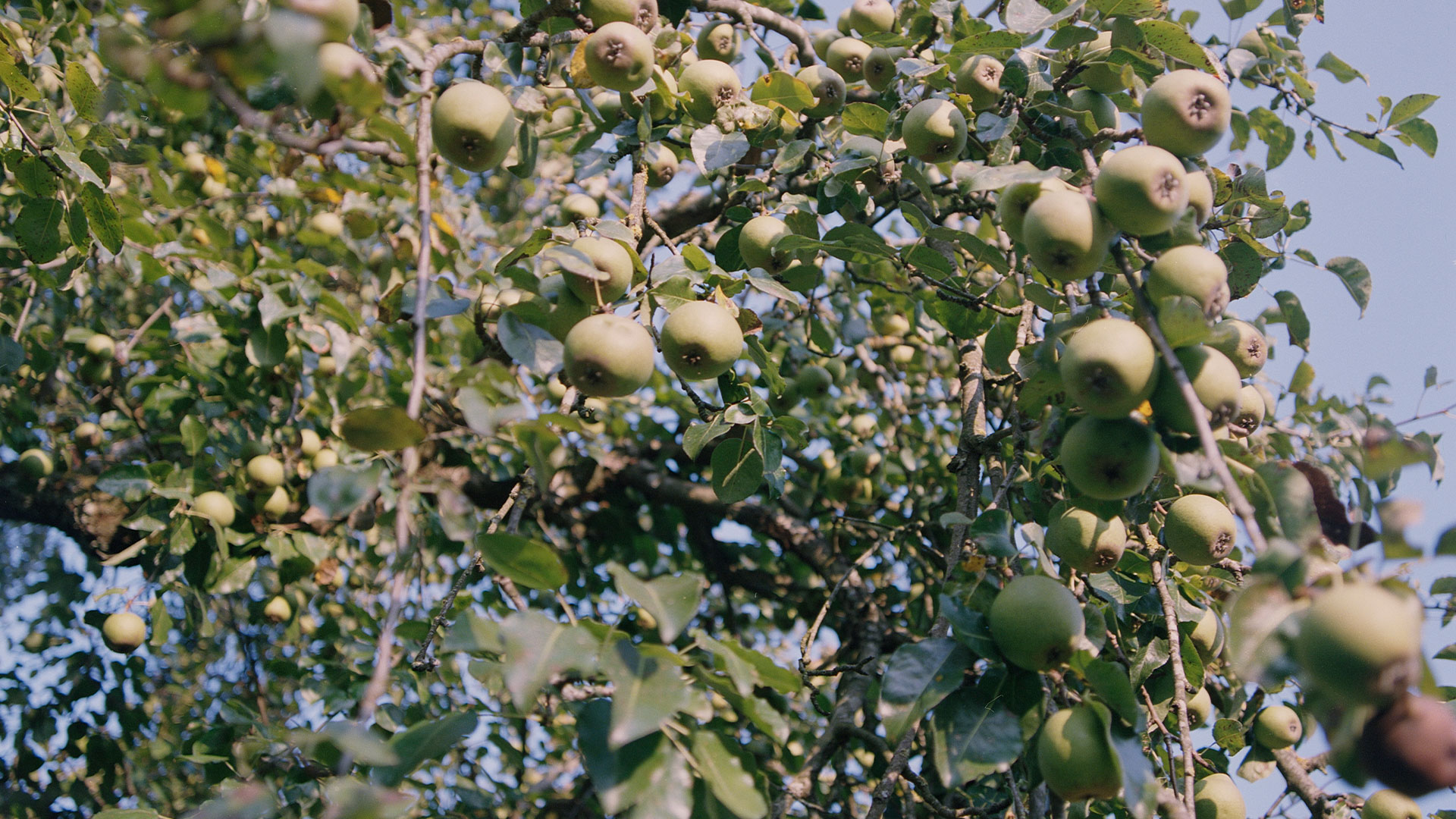 Anzeigenschaltung und Medienauswahl | Marold Personalberatung ...